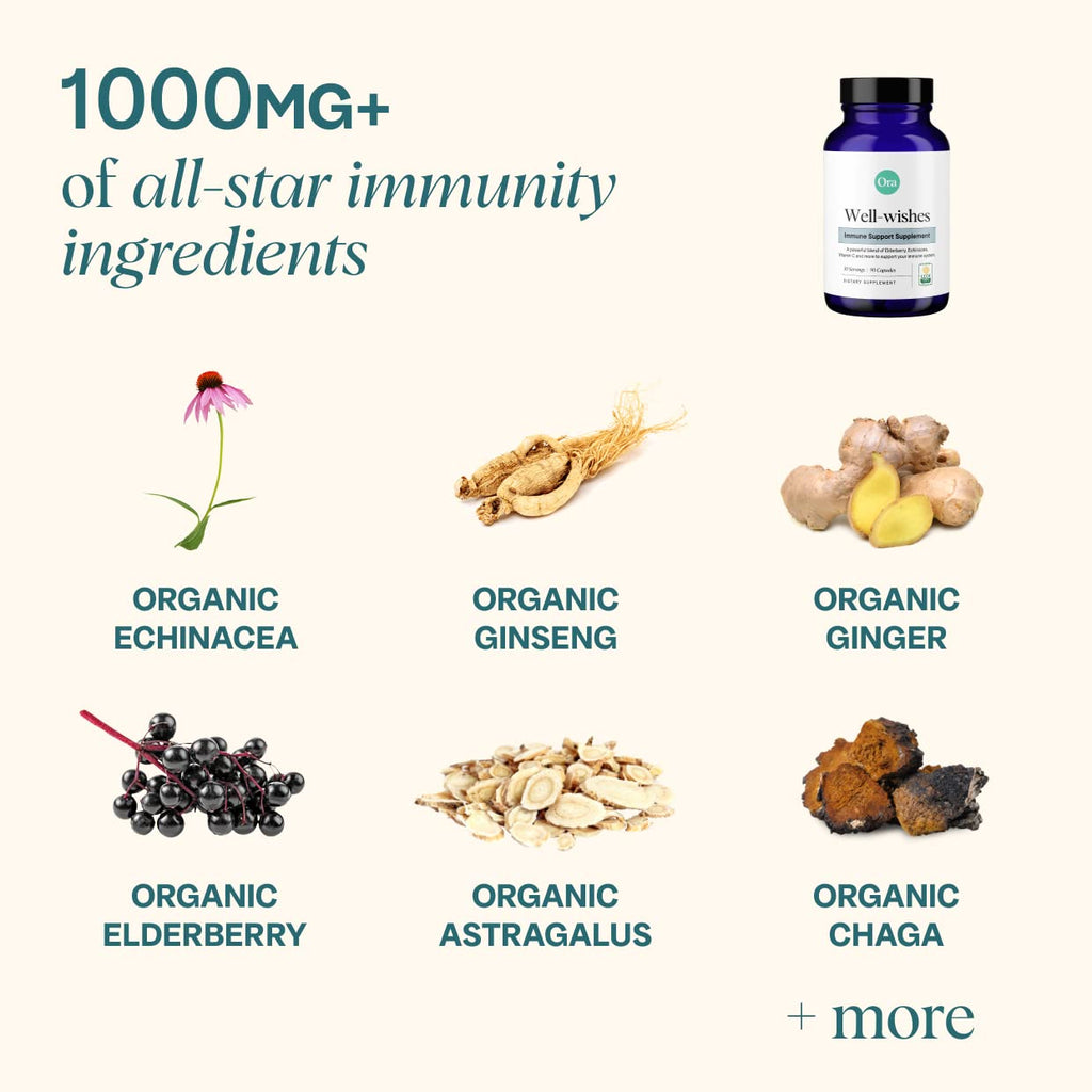 Echinacea and elderberry blend benefits