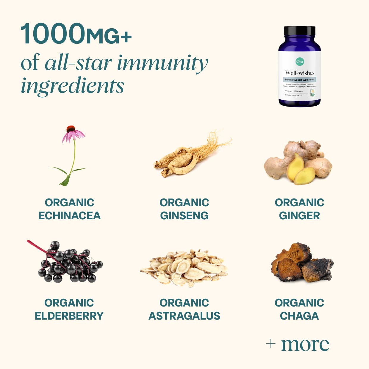 Echinacea and elderberry blend benefits