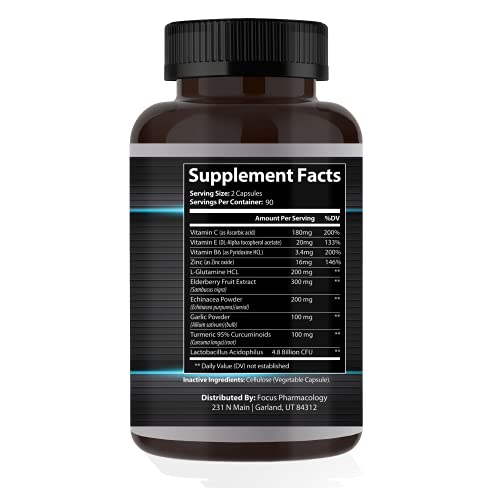 Echinacea and elderberry combination