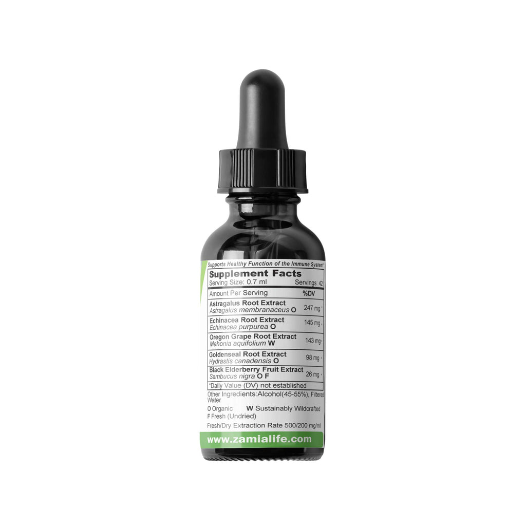 echinacea and elderberry health benefits