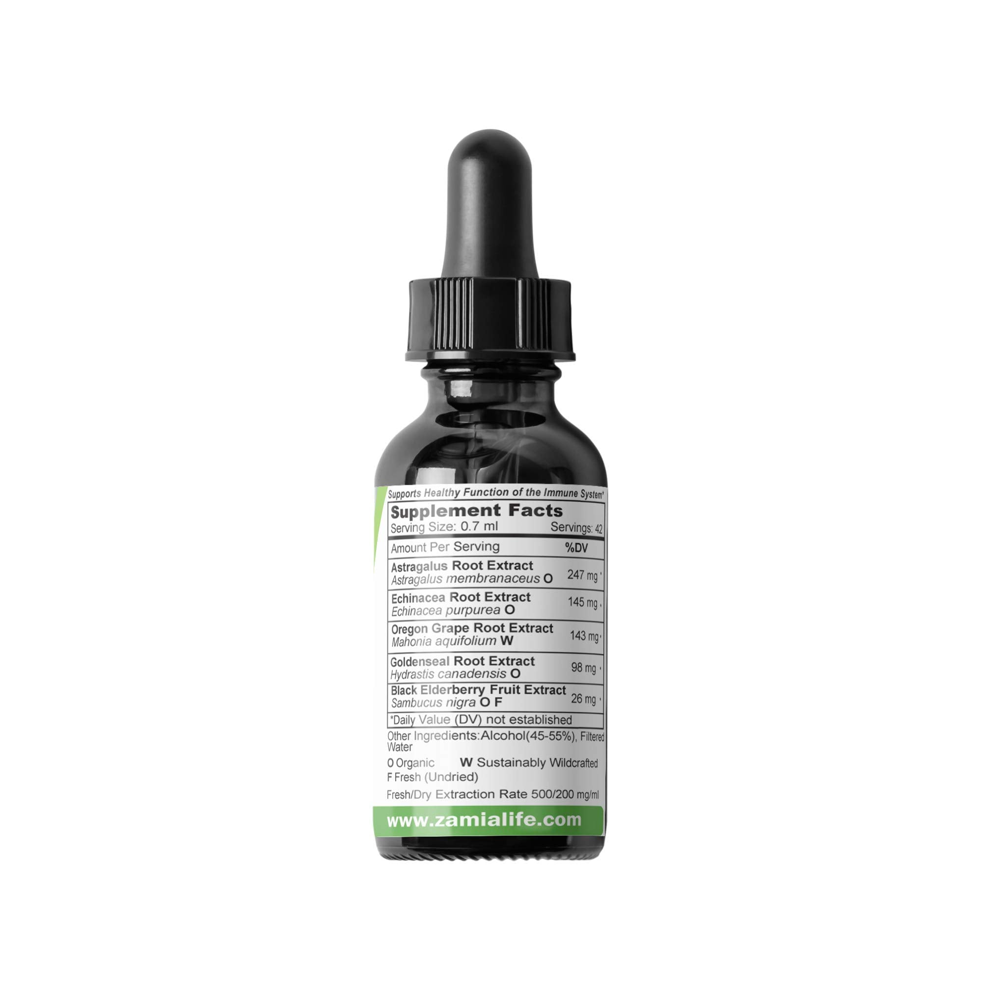 echinacea and elderberry health benefits
