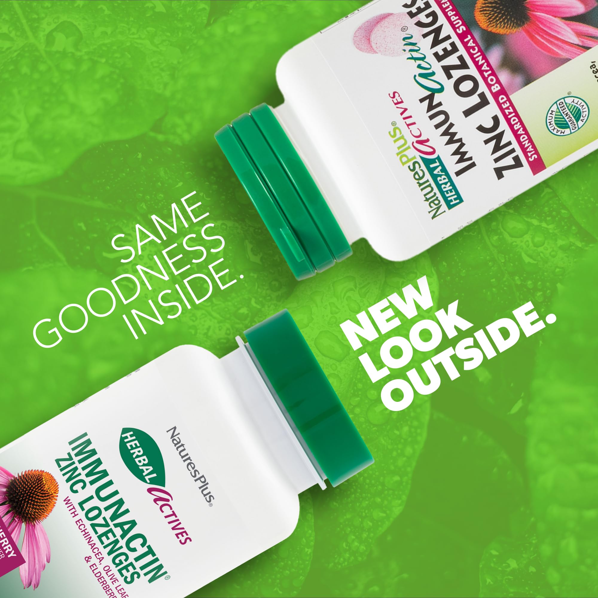 Echinacea and elderberry immune support