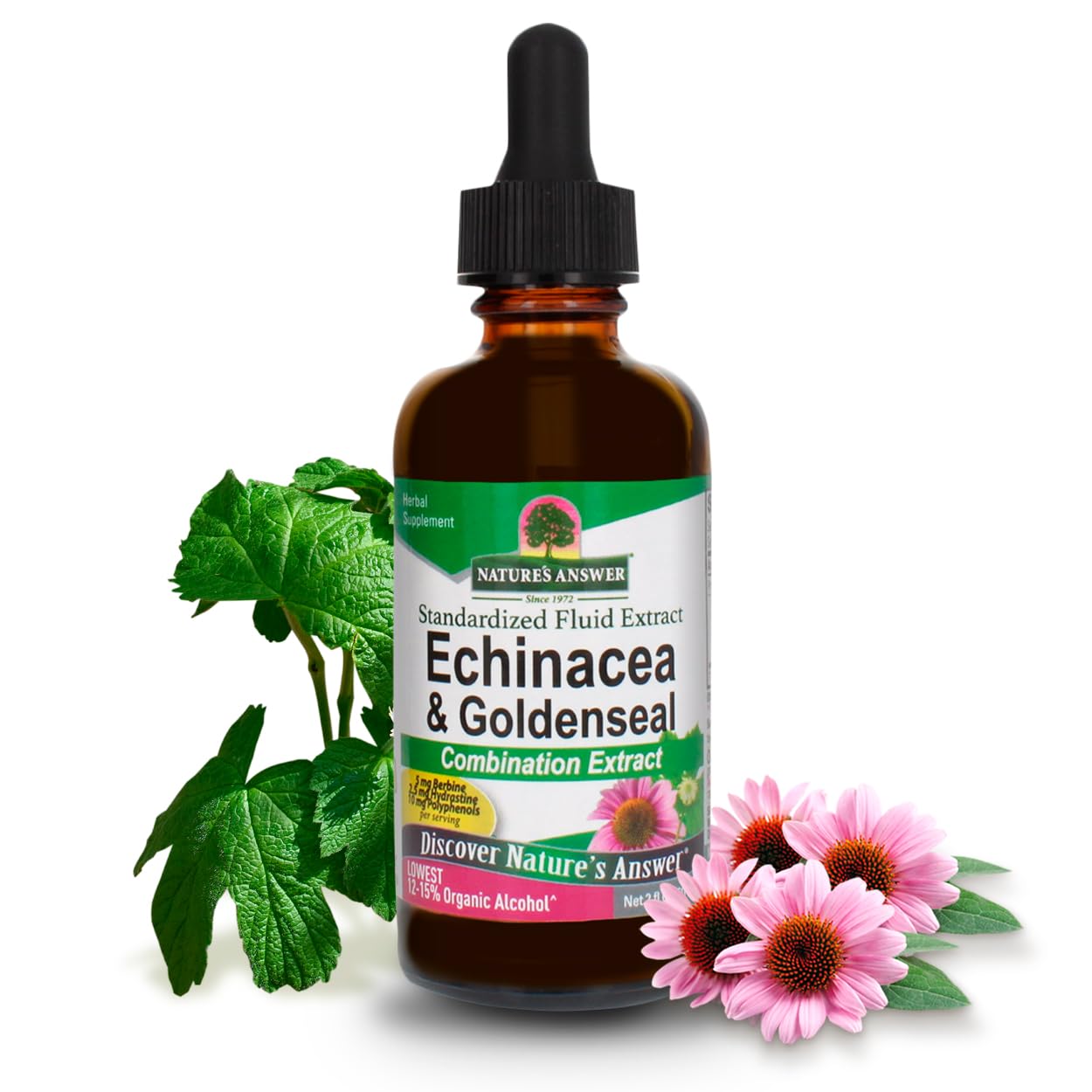 Echinacea and Goldenseal herbal extract