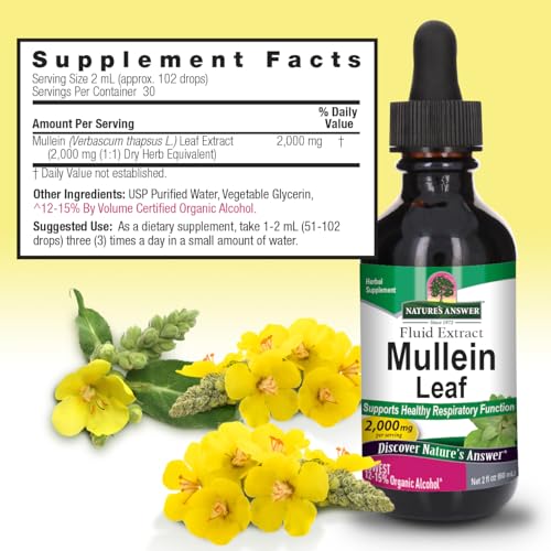 Echinacea and mullein combination