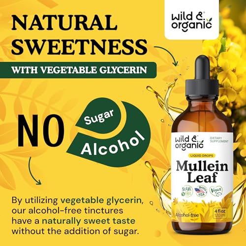 Echinacea and mullein for better health