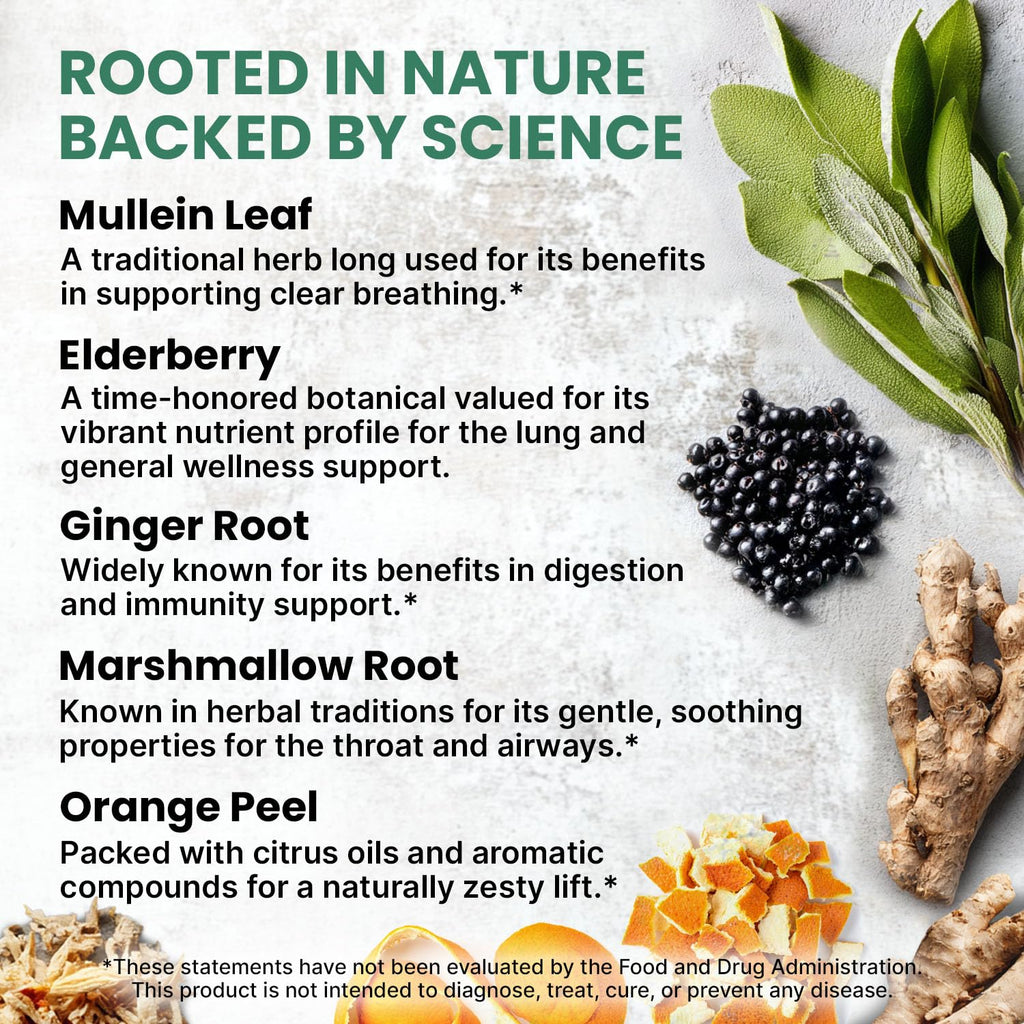 Echinacea and mullein for immunity