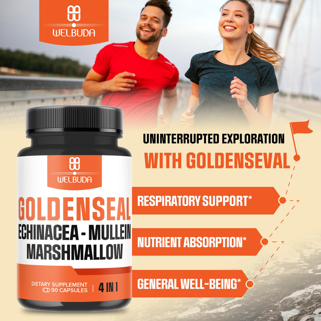 echinacea and mullein leaf benefits