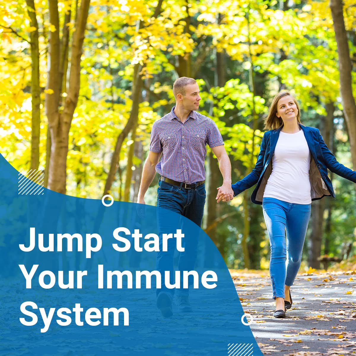 echinacea and mushroom immune booster