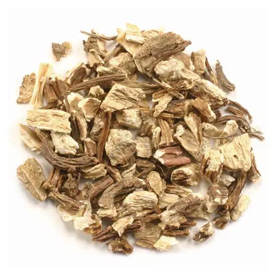 Echinacea angelica root for wellness