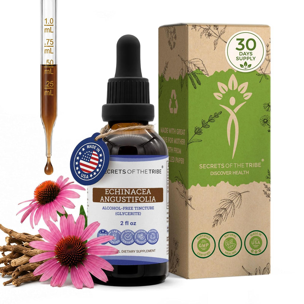 Echinacea angustifolia liquid extract benefits