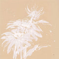 Echinacea artwork for home decor