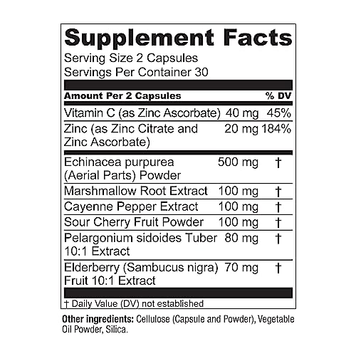 Echinacea benefits for cold relief