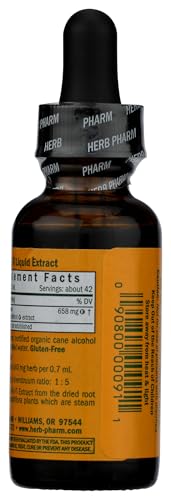 Echinacea benefits for immune support