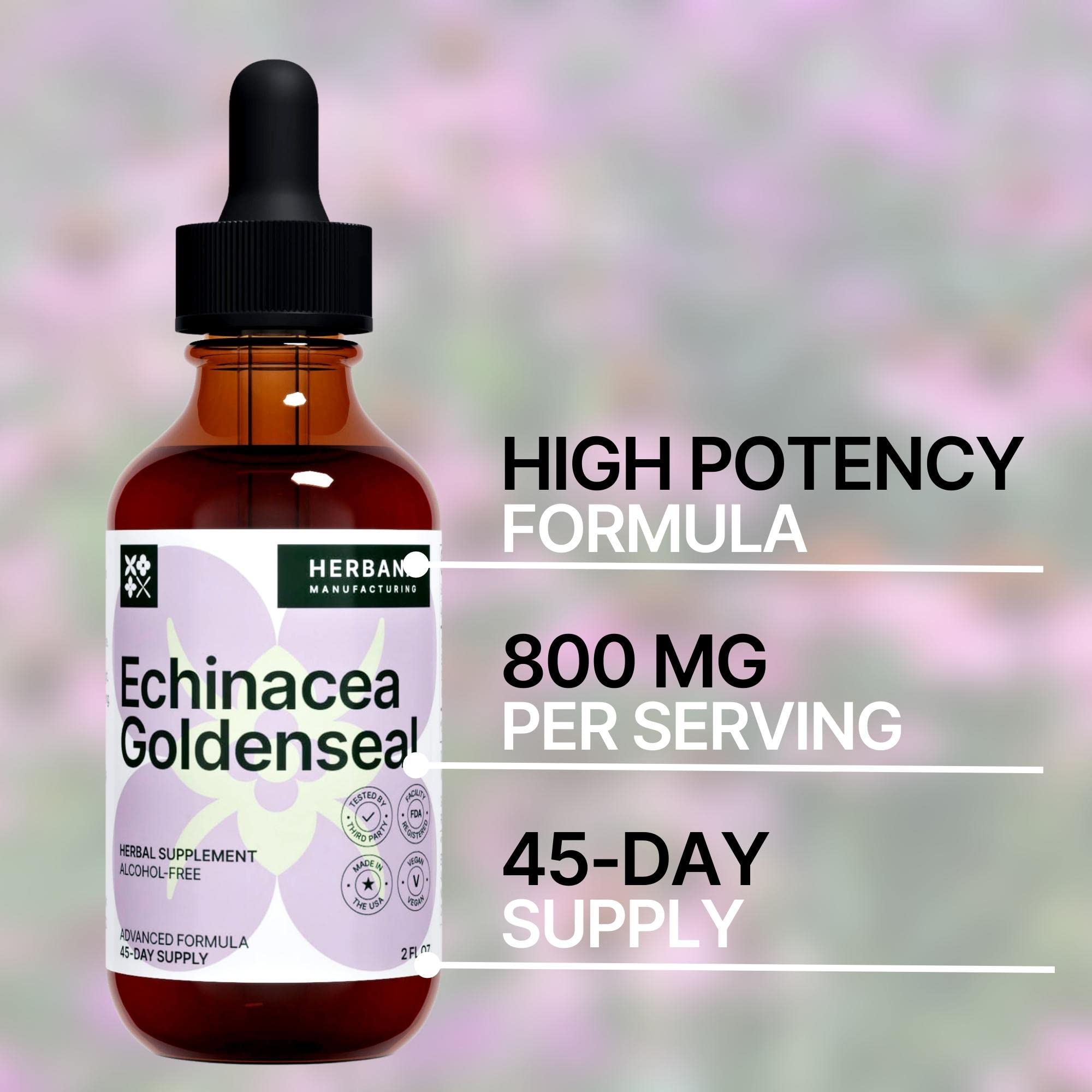 Echinacea benefits for overall health