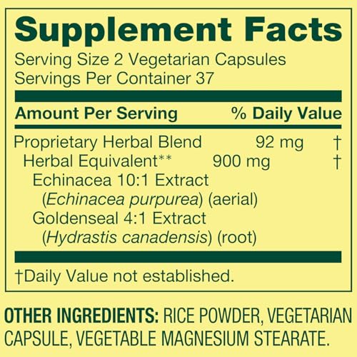 Echinacea blend for overall vitality