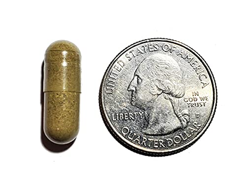 Echinacea blend for seasonal wellness