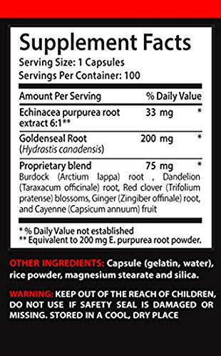 Echinacea capsules for daily wellness