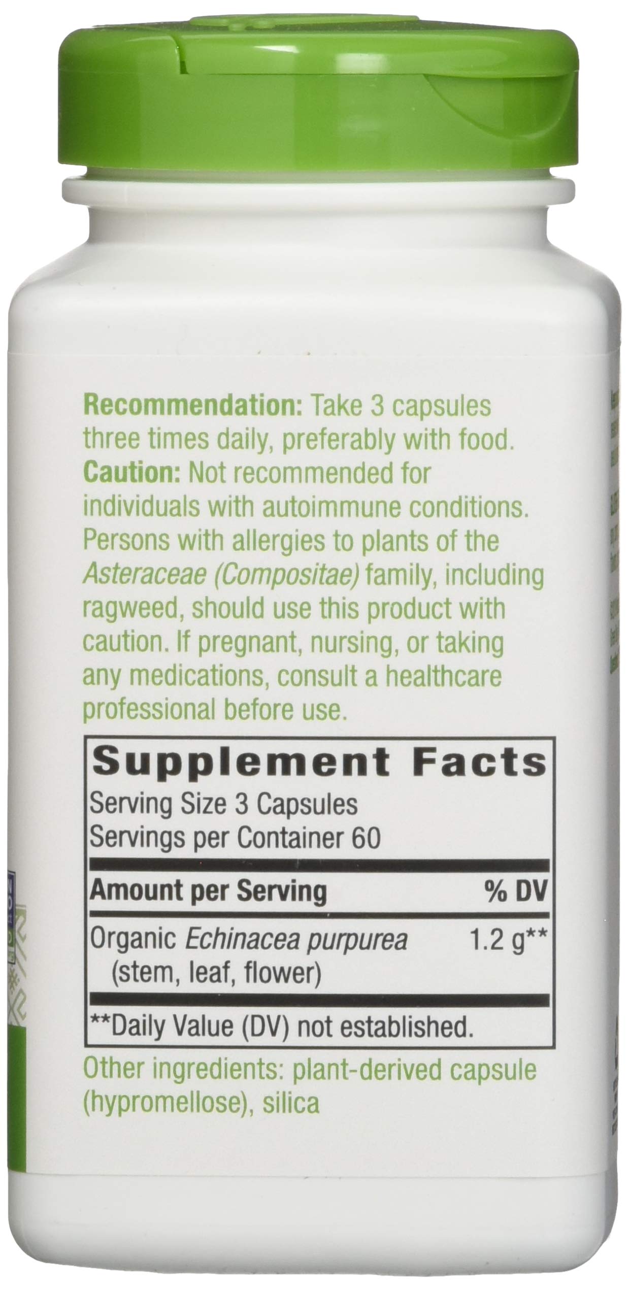 Echinacea capsules for daily wellness