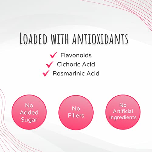 Echinacea capsules for holistic health