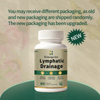 Echinacea capsules for holistic wellness