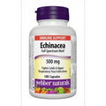 echinacea capsules for immune health