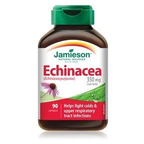 Echinacea capsules for immune health