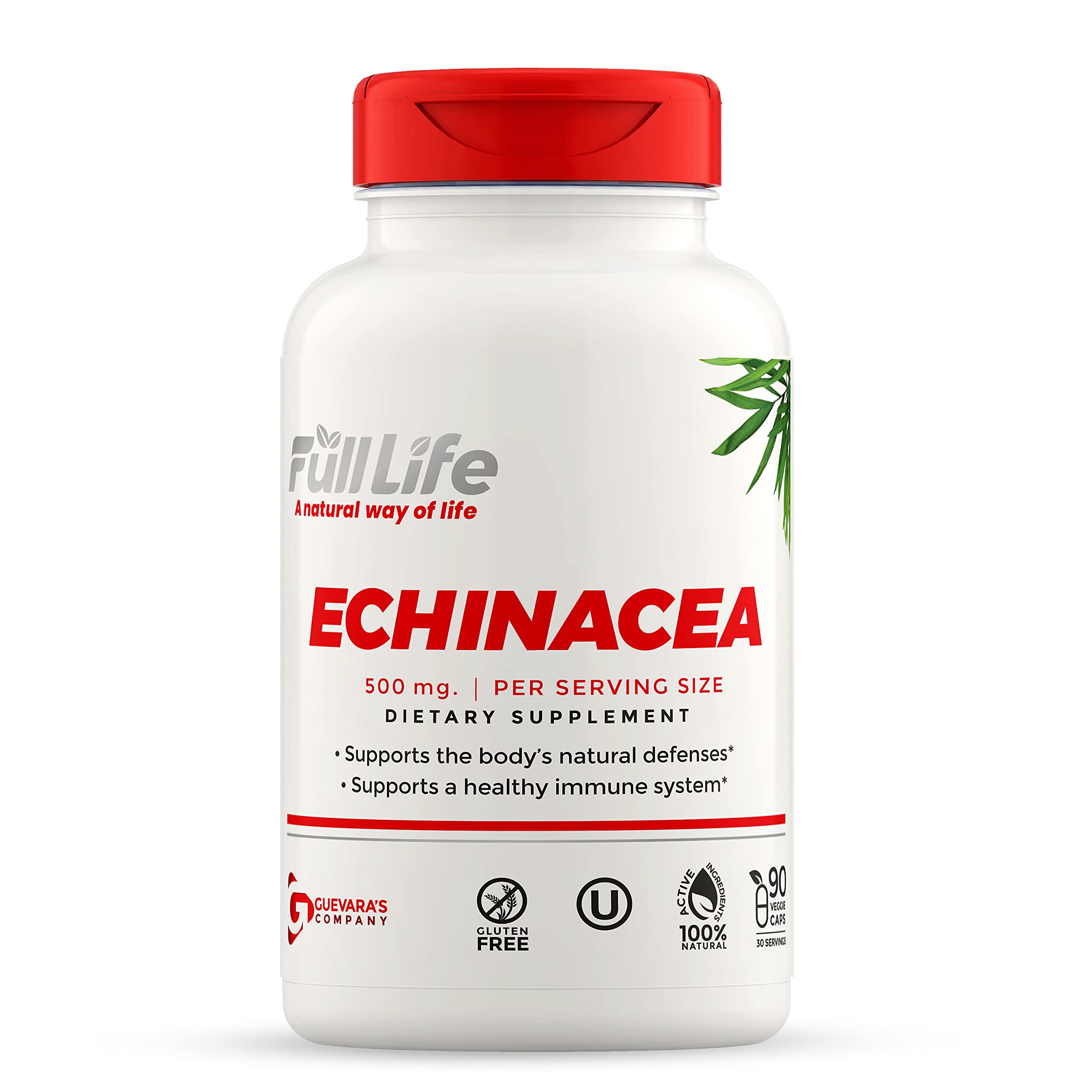 echinacea capsules for immune support