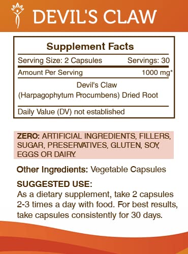 Echinacea capsules for immune support