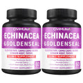 Echinacea capsules for immune support
