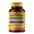 Echinacea capsules for immune support