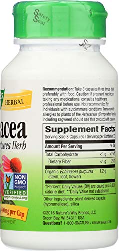 echinacea capsules for natural defence