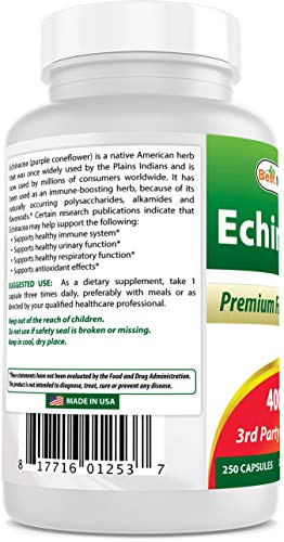 Echinacea capsules for natural wellness