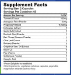Echinacea capsules for respiratory wellness