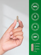 echinacea capsules for seasonal health
