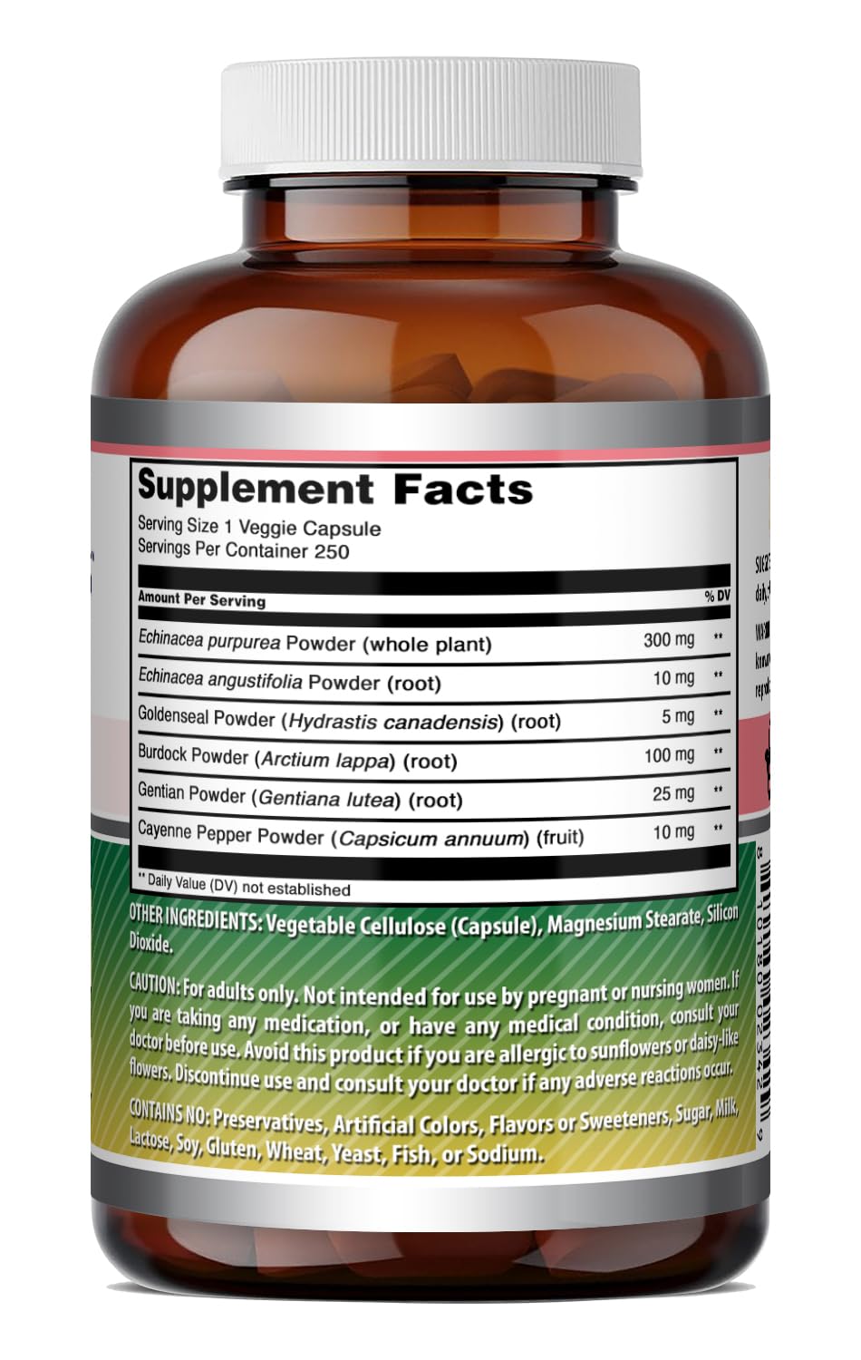 echinacea capsules for seasonal health