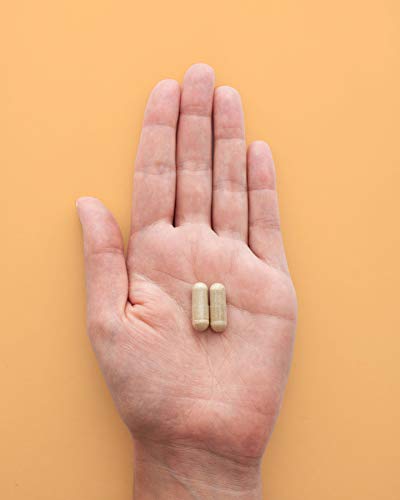Echinacea capsules for seasonal wellness