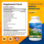 Echinacea capsules for wellness support