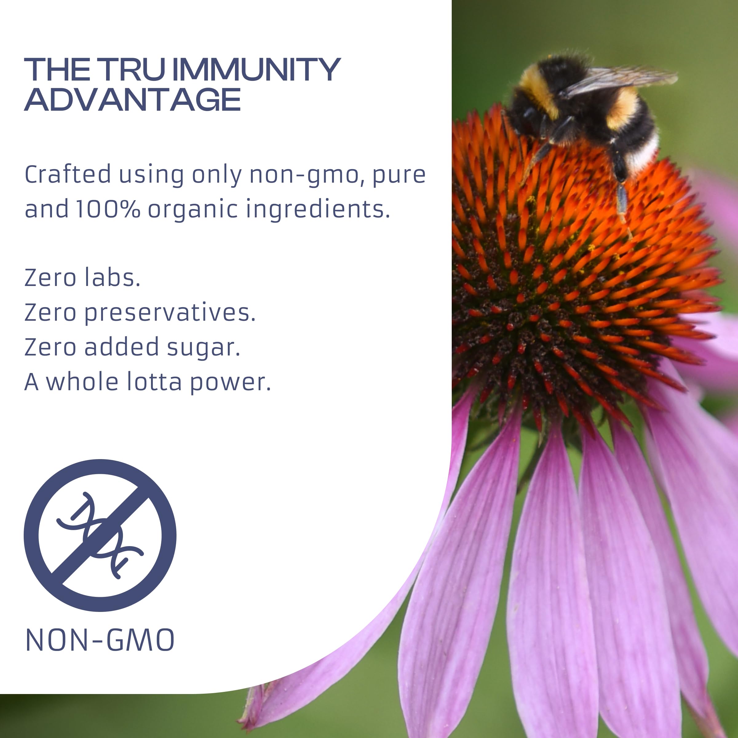 Echinacea dietary supplement for adults