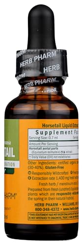 Echinacea drops for everyday health