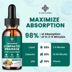 Echinacea drops for holistic health