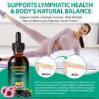 echinacea drops for immune support