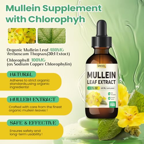 Echinacea drops for immune system boost
