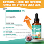 Echinacea drops for overall health