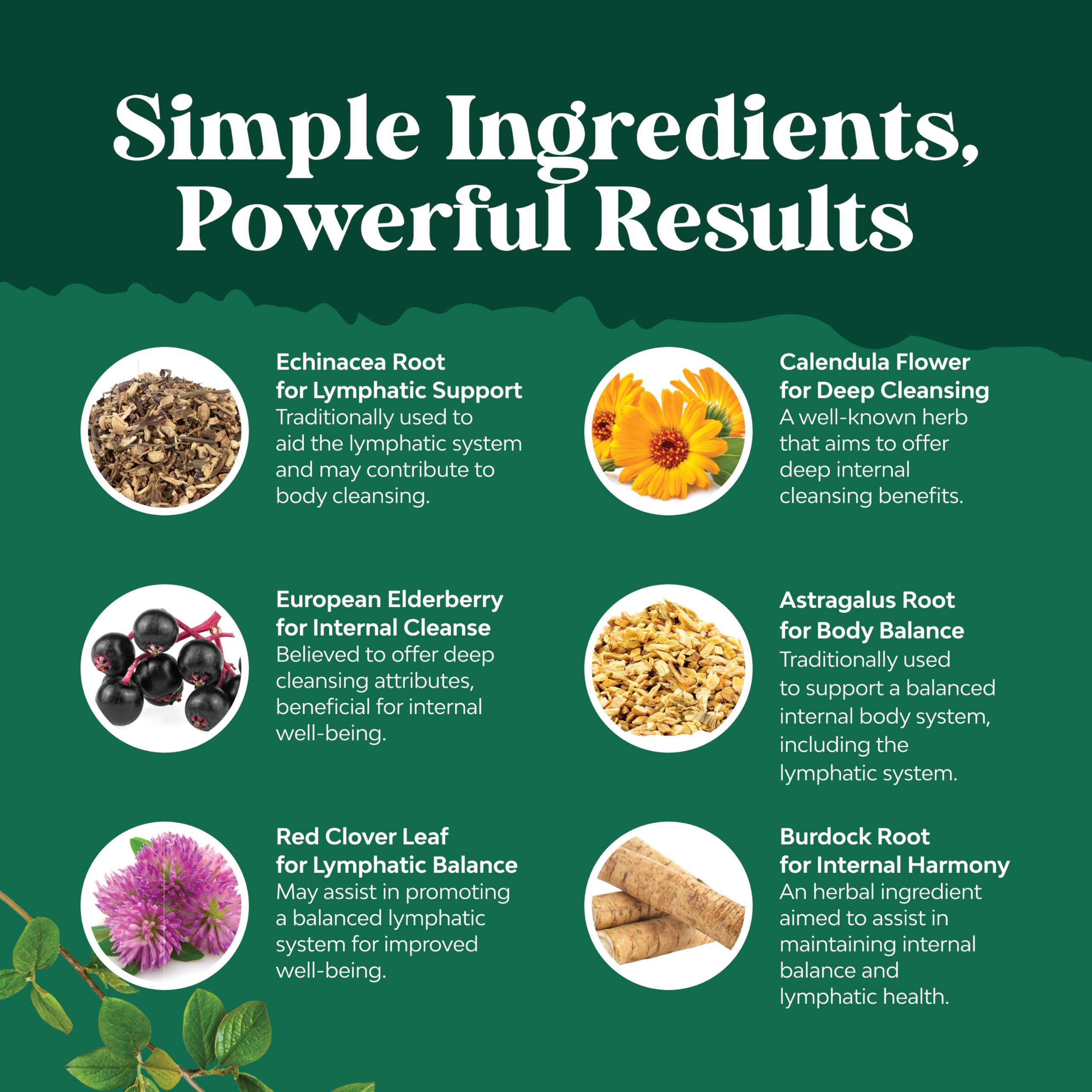 echinacea drops for seasonal wellness
