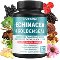 Echinacea extract 500 mg capsules