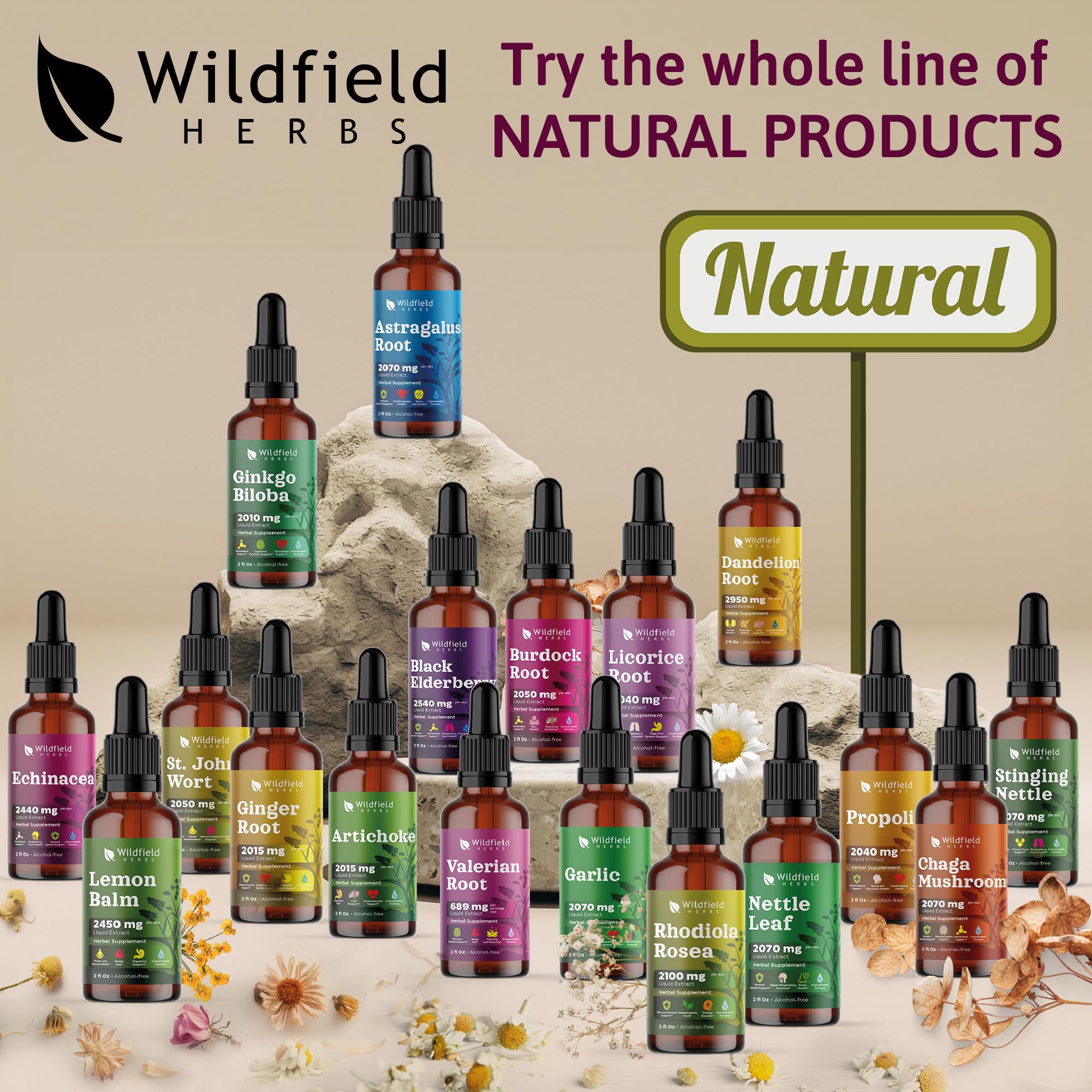 echinacea extract for breastfeeding mothers