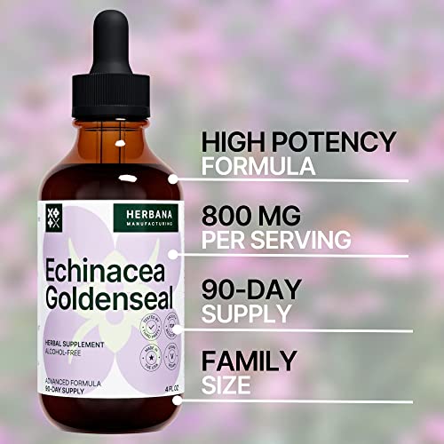 Echinacea extract for daily health