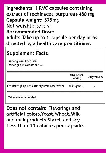 Echinacea extract for daily wellness