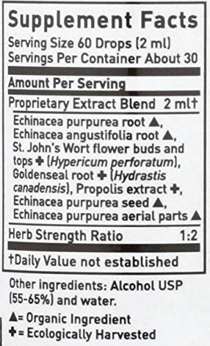 Echinacea extract for everyday vitality