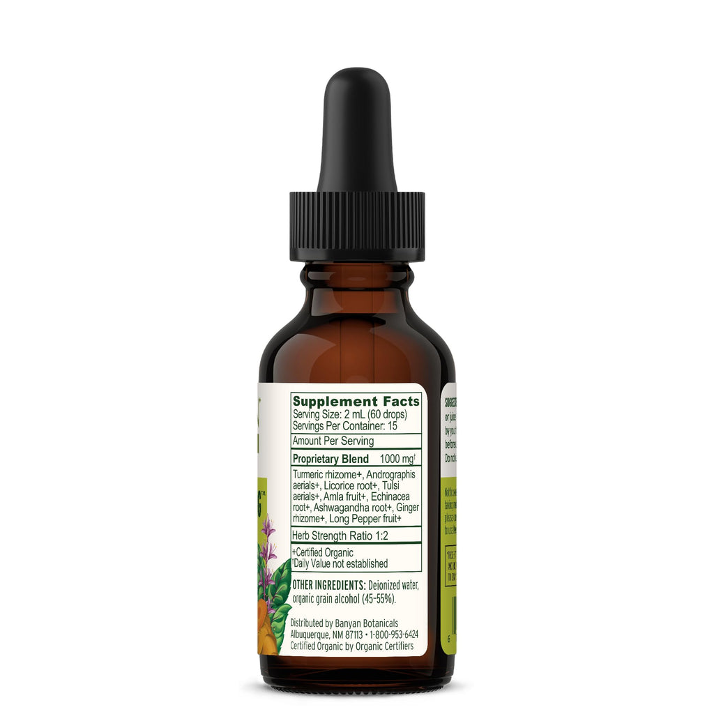 echinacea extract for holistic health